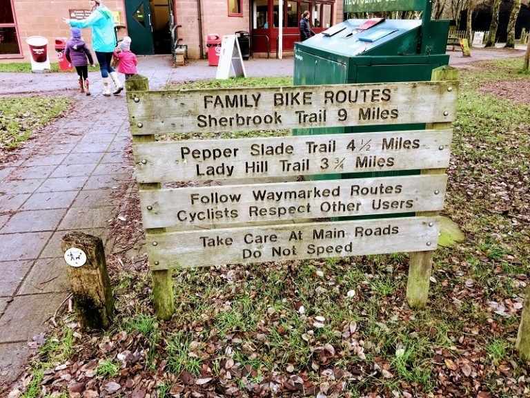 Family fun and woodland walks at Cannock Chase Forest - Staffordshire